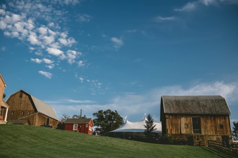 Misty Farm Summer Wedding | Frutig Farms - Dayna Mae Photography | Ann ...