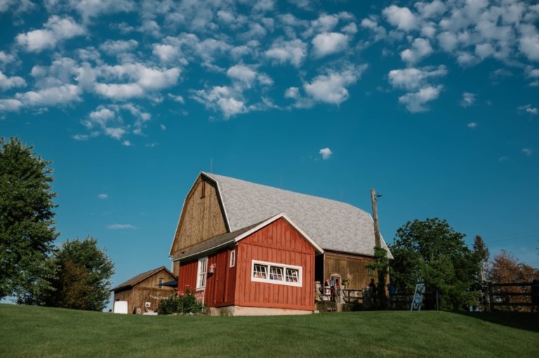 Misty Farm Summer Wedding | Frutig Farms - Dayna Mae Photography | Ann ...