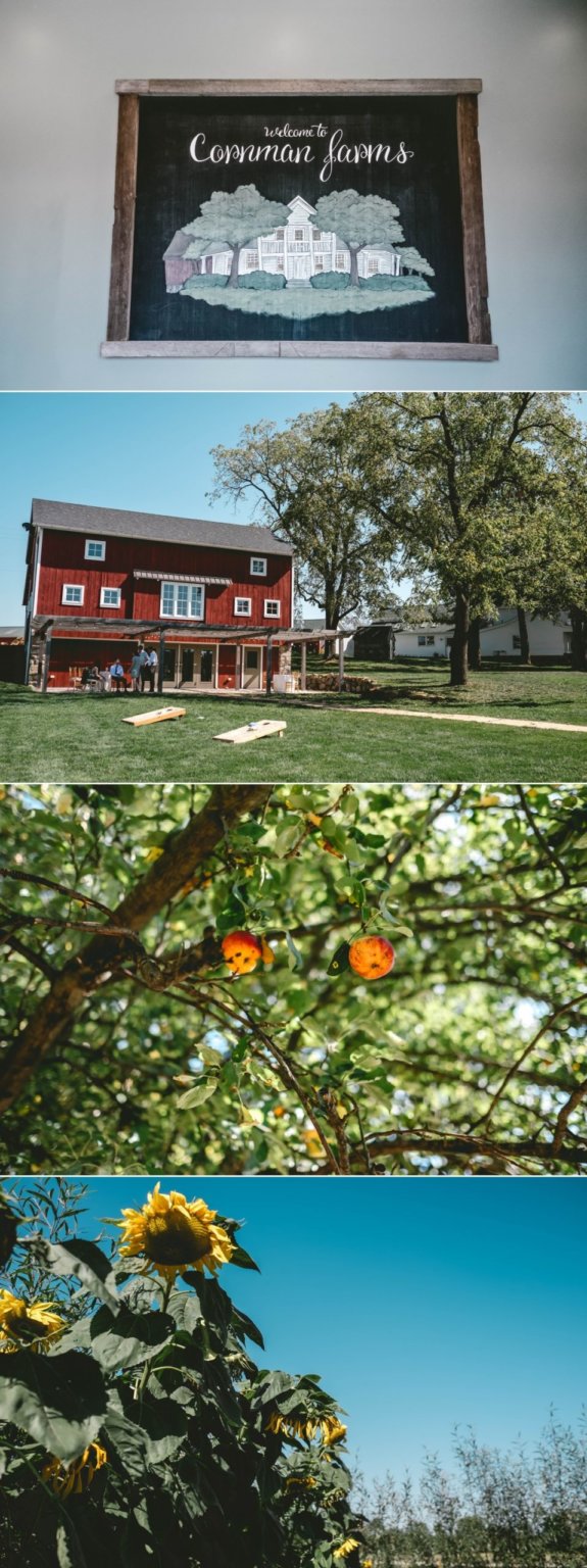 Zingerman's Cornman Farms Intimate Wedding | Ann Arbor Wedding Photographer